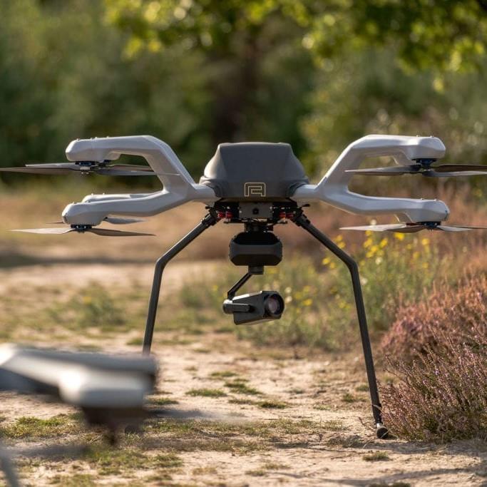 Hammertime Online Veilingen