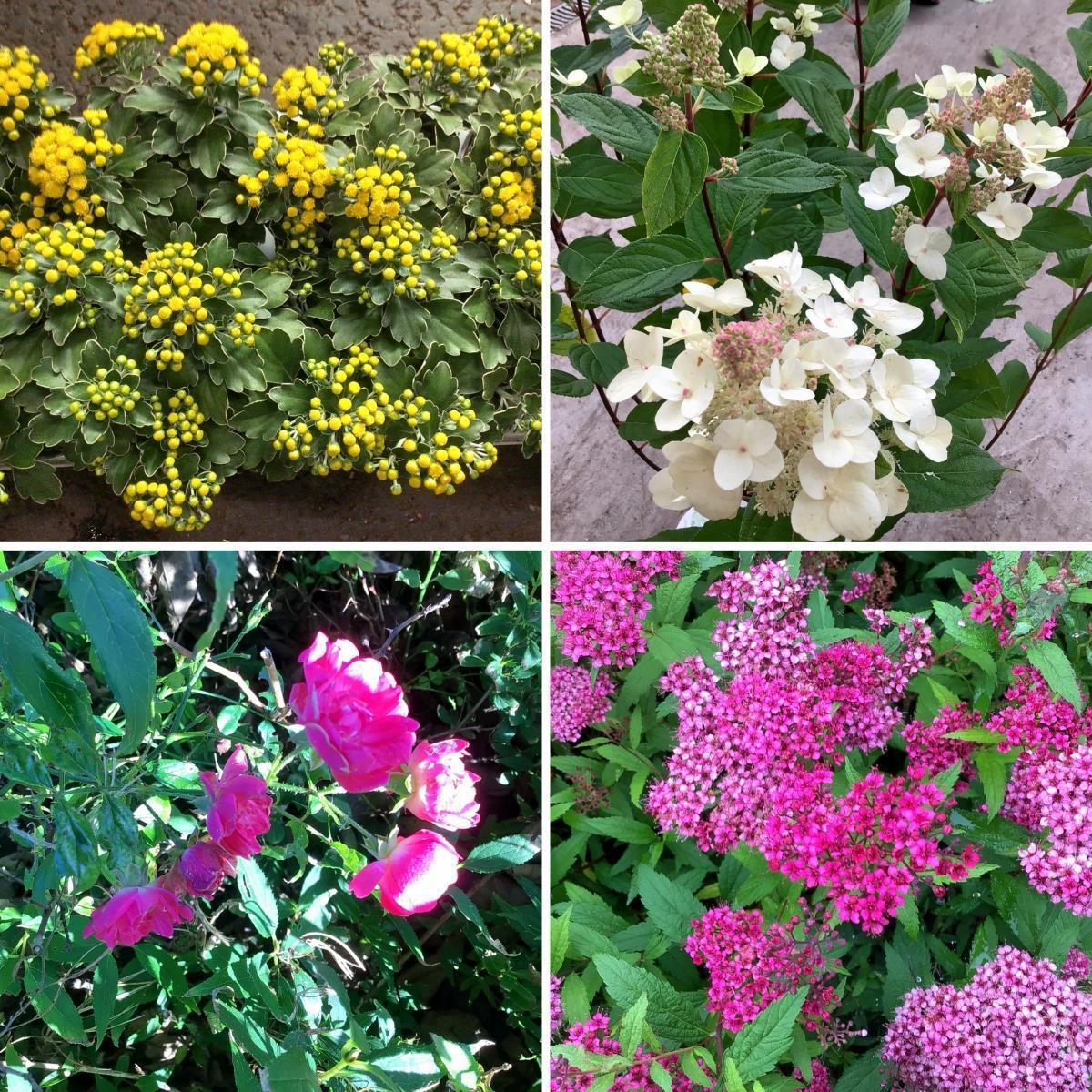 Hammertime Online Veilingen