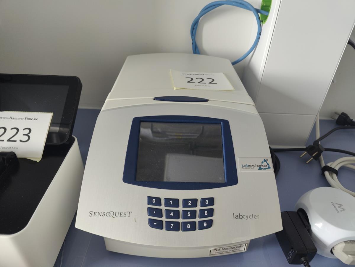 Hammertime Online Veilingen